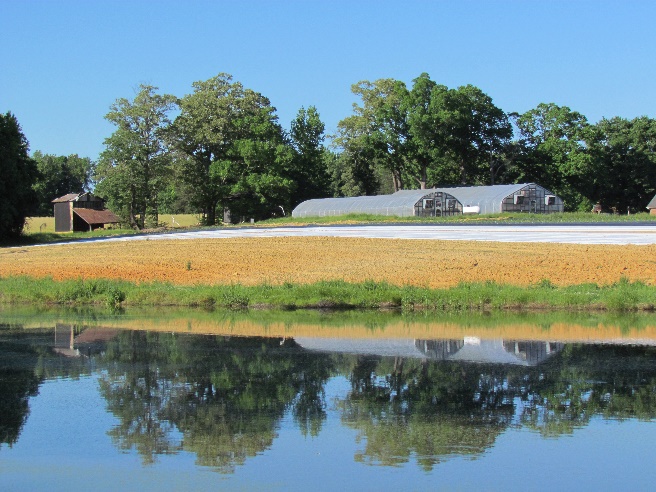 About Us - Smith Farms